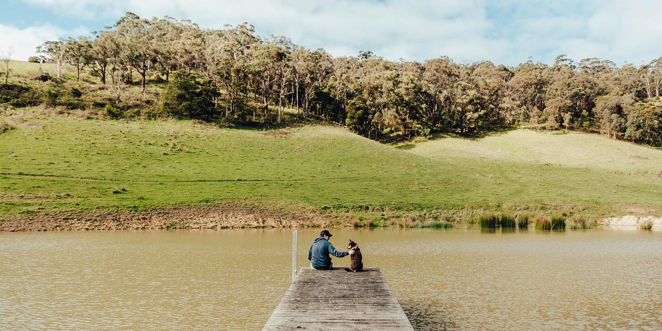 Surf 'n' Turf - Adventure by Chloe in Deans Marsh, Great Ocean Road ...