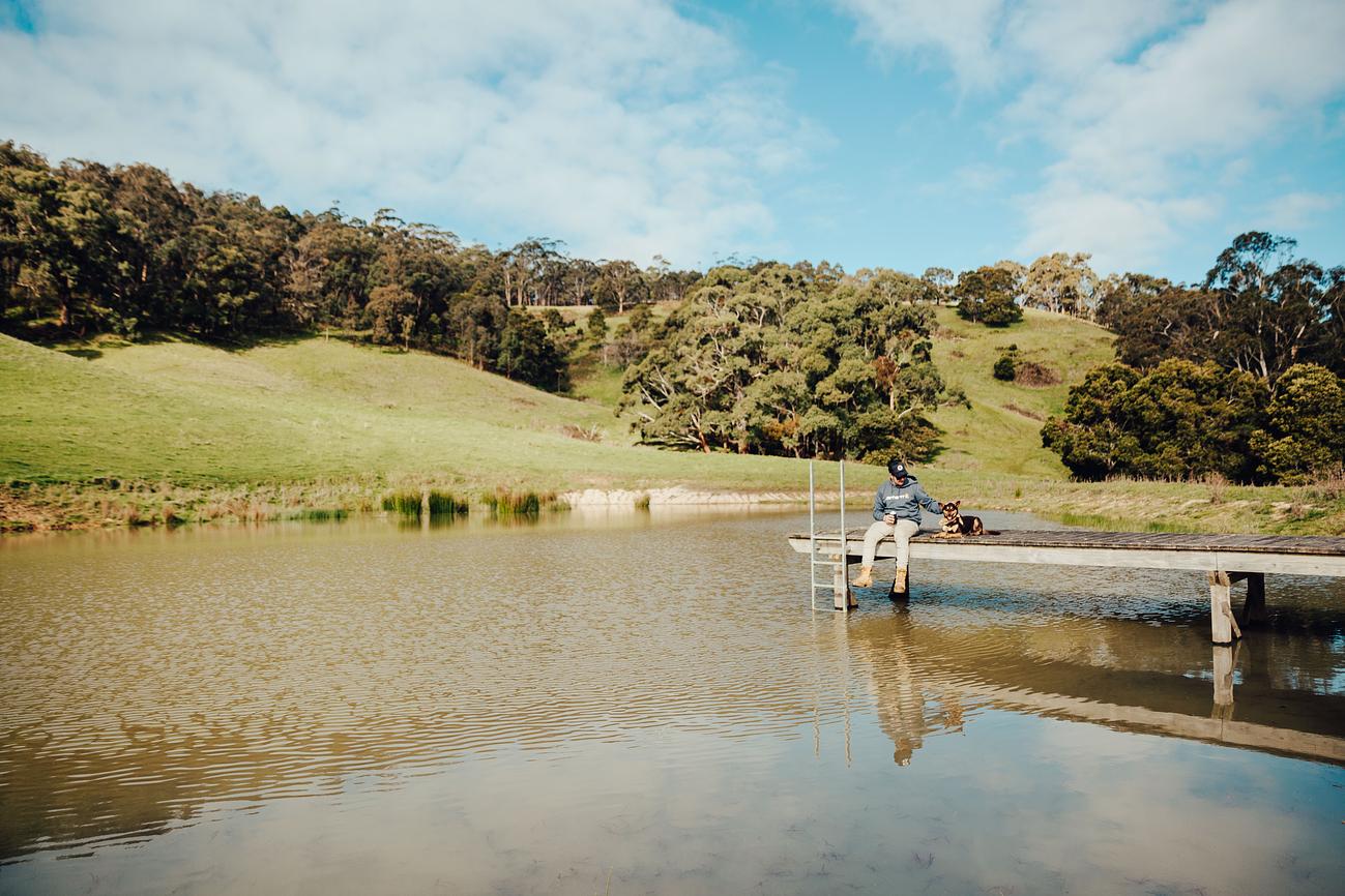 Surf 'n' Turf - Adventure by Chloe in Deans Marsh, Great Ocean Road ...
