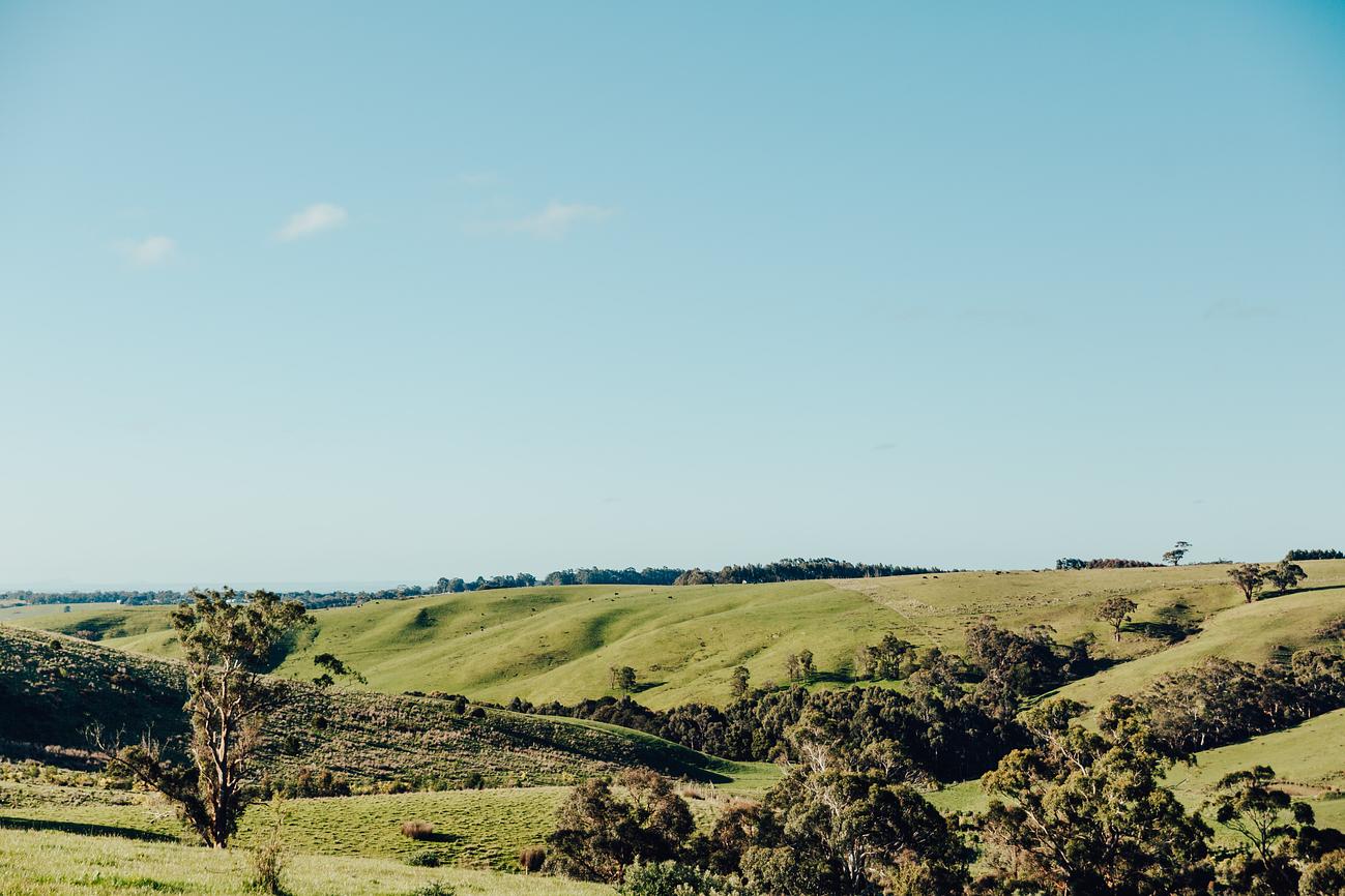 Surf 'n' Turf - Adventure by Chloe in Deans Marsh, Great Ocean Road ...
