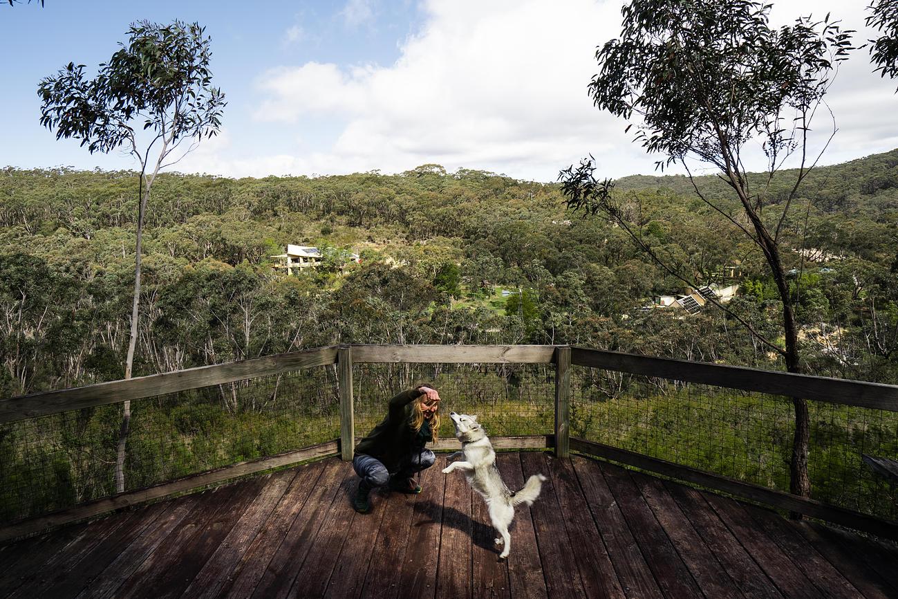 The Local Lookout | Riparide