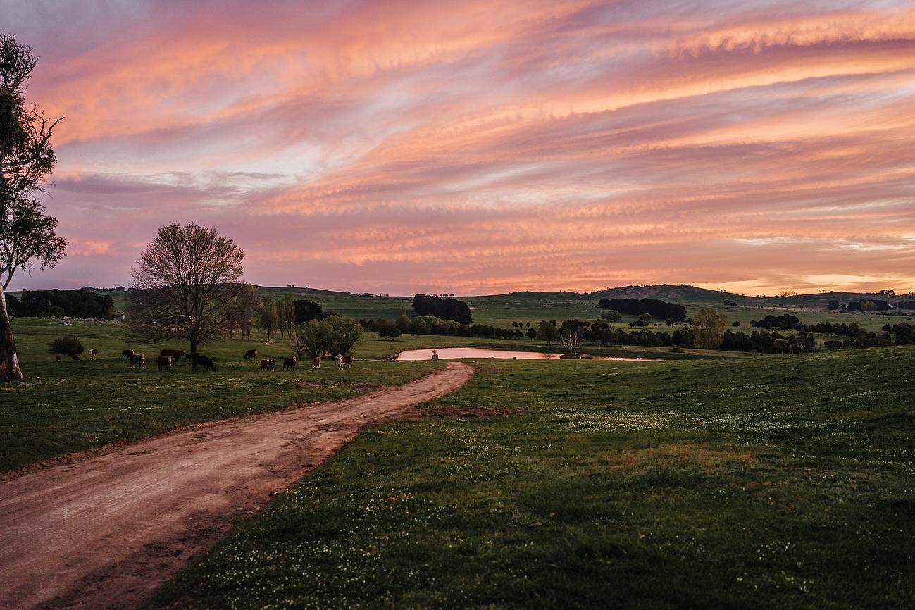 Bedervale walk and sunset | Riparide