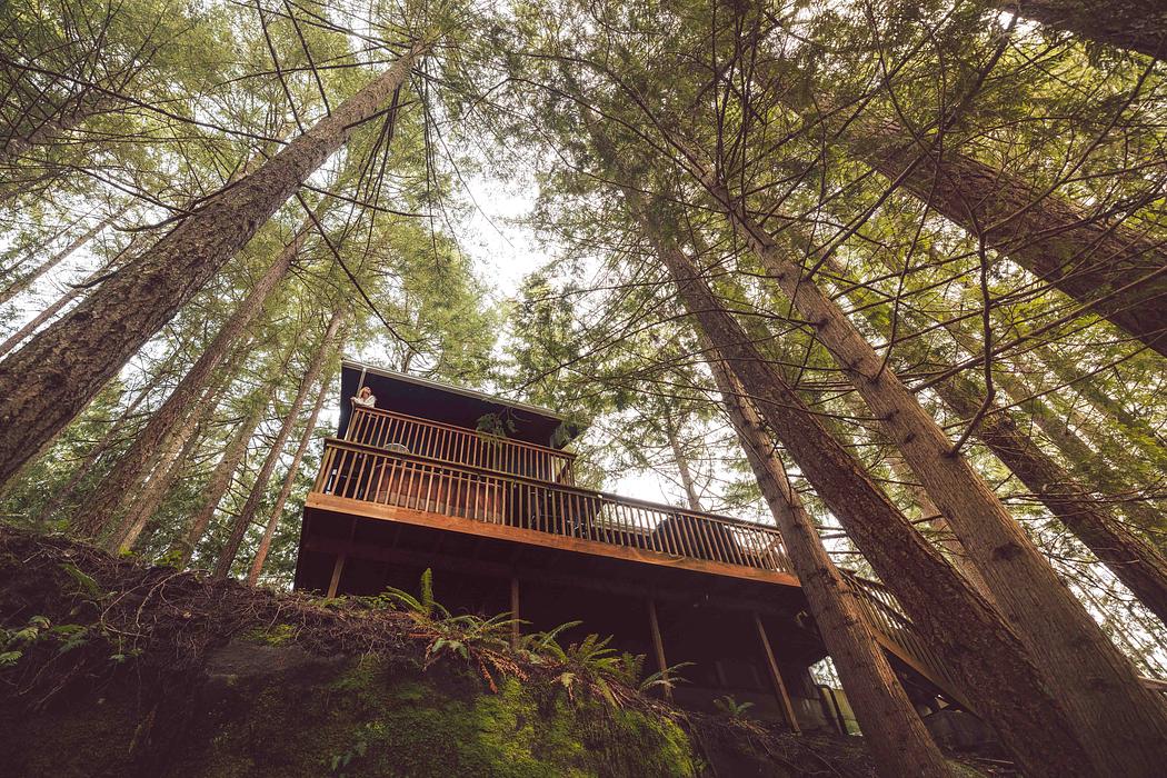 Hideaway Amongst the Trees in Bellingham - Adventure by Jeffrey in ...