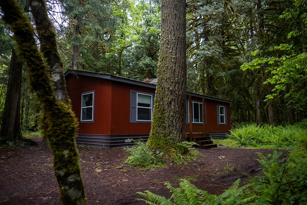 Forest Bathing on the Mountain - Adventure by Jess in Welches, Mt Hood & River Gorge, OR, US ...