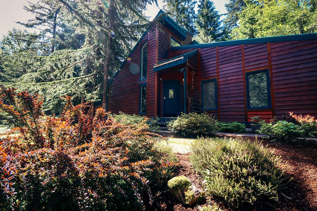 Adventurous, Cozy Moments in Rainier Cabin - Adventure by Sandi in Packwood, Mount Rainier, WA ...