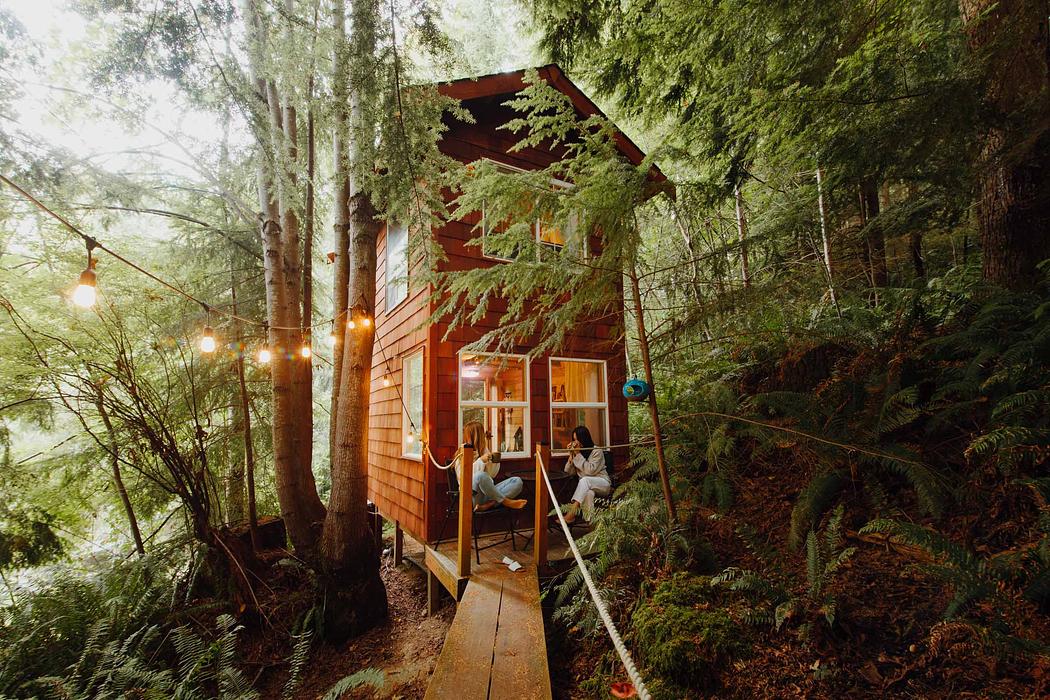 Two-Story Treehouse and Fire Lookout Adventures - Adventure by Eva in ...