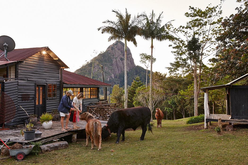 Under the spell of Nightcap Exchange - Adventure by Adam in Doon Doon ...