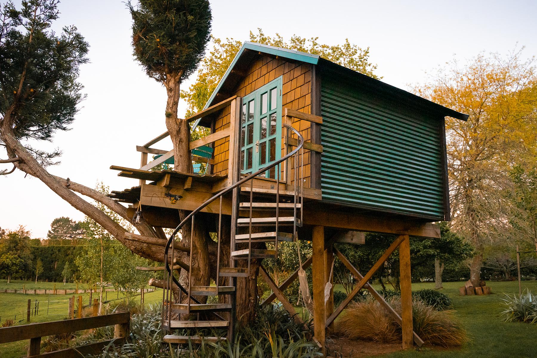 A Treetop Hideaway - Adventure by Kristina in Aongatete, Bay of Plenty ...